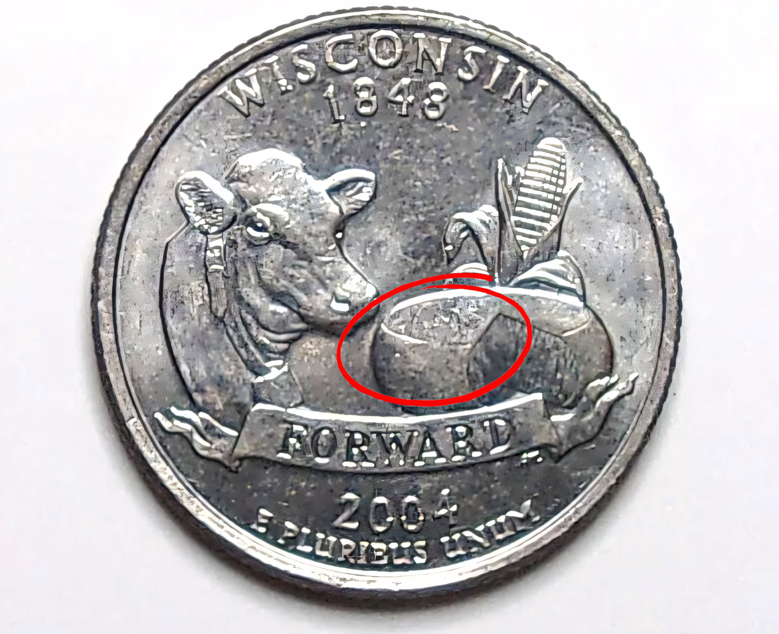 🌽 2004 Wisconsin Quarter Extra Leaf Error Worth $300,000+ 💰 | How to ...